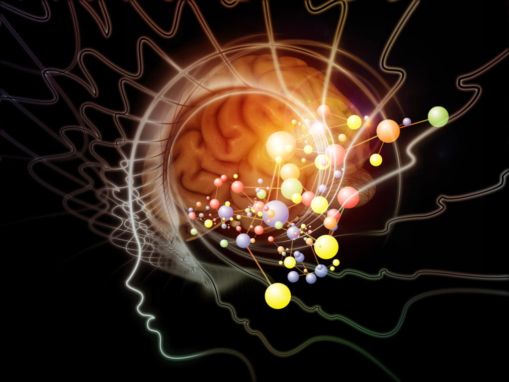 Le concept - transbrain